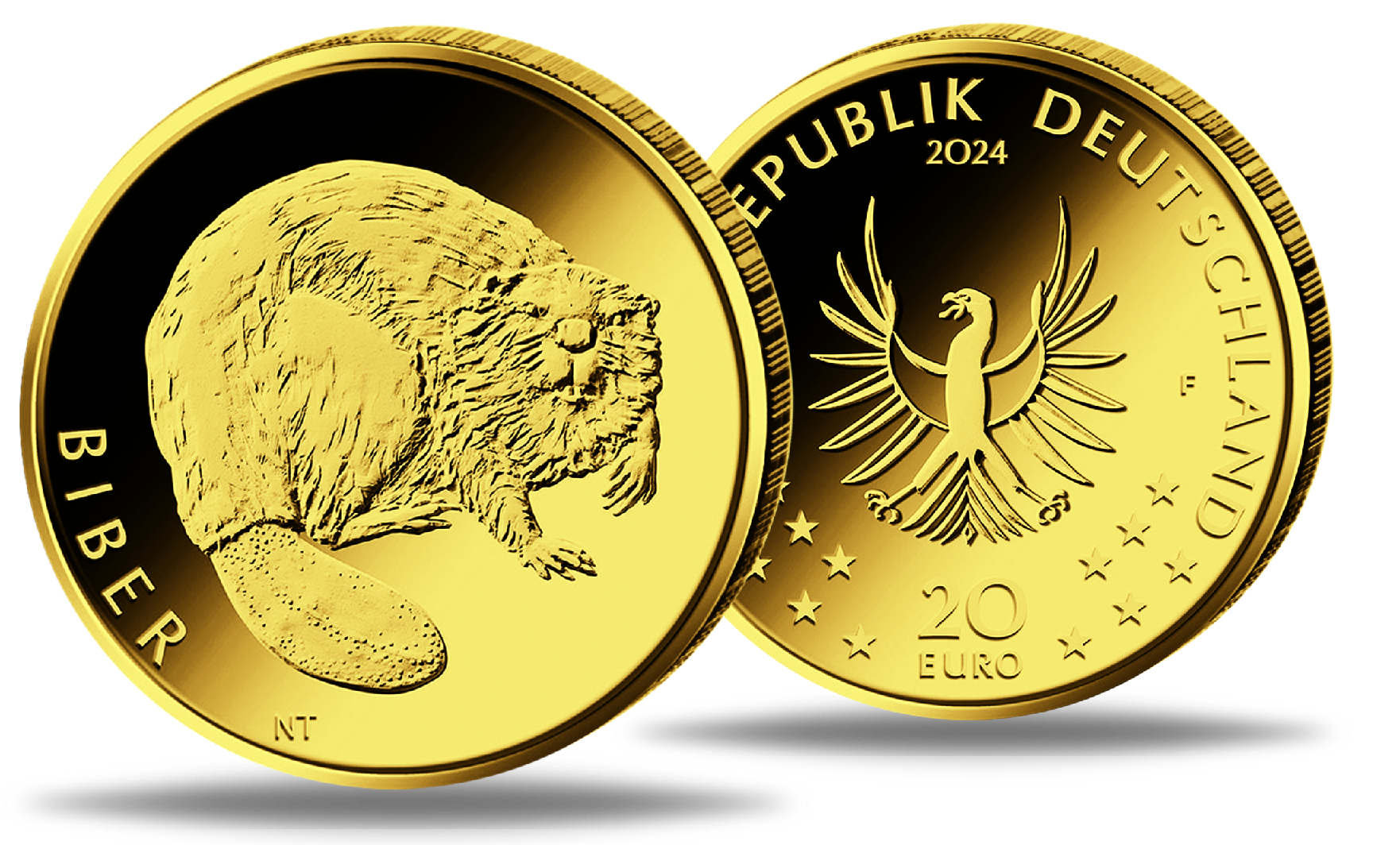 Deutschland, 20 Euro Biber, 2024, 1/8 oz reinstes Gold, st | Münzen ...