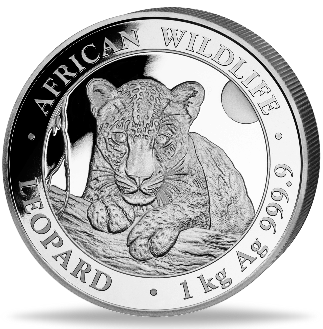 Somalia, 2000 Shilings 2025, African Wildlife Leopard, 1 Kilogramm ...