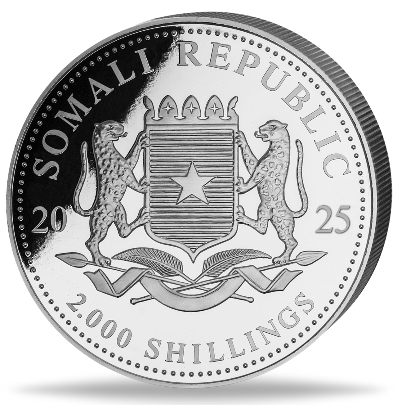 Somalia, 2000 Shilings 2025, African Wildlife Leopard, 1 Kilogramm ...