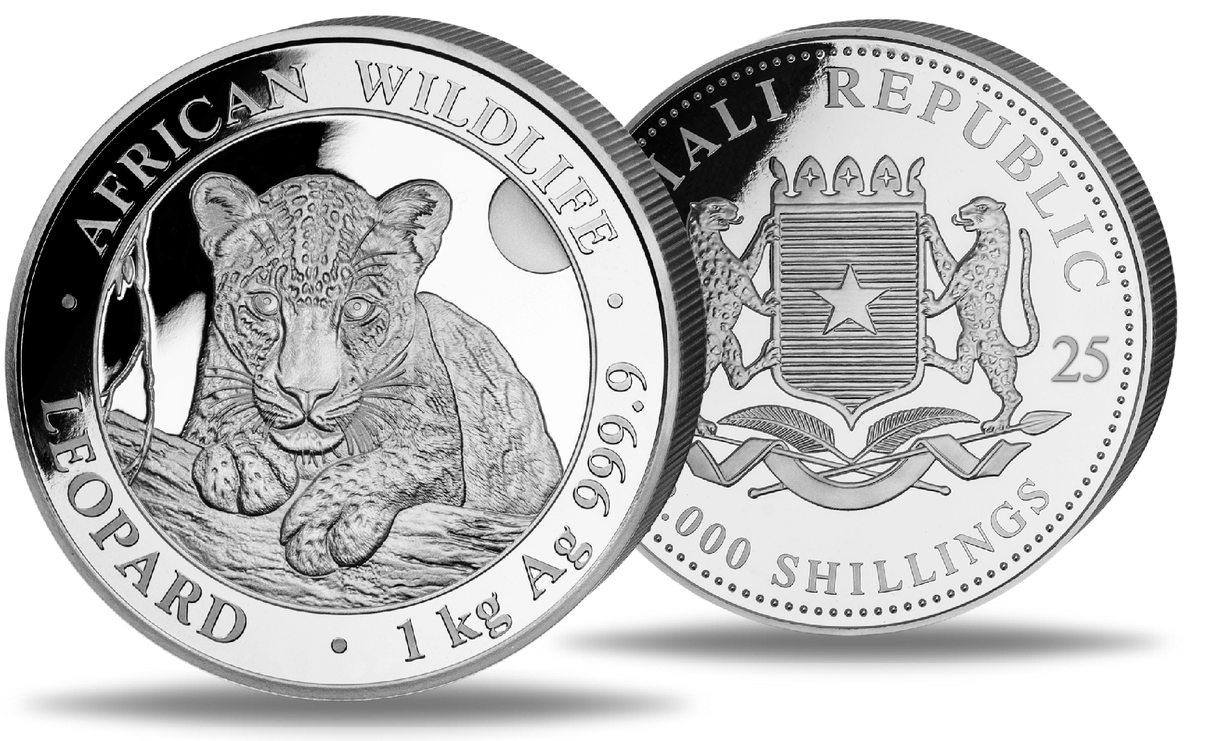 Somalia, 2000 Shilings 2025, African Wildlife Leopard, 1 Kilogramm ...